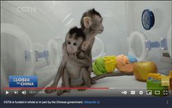 China's Brain-Computer Interface Landscape in 2021: Has the Dragon ...